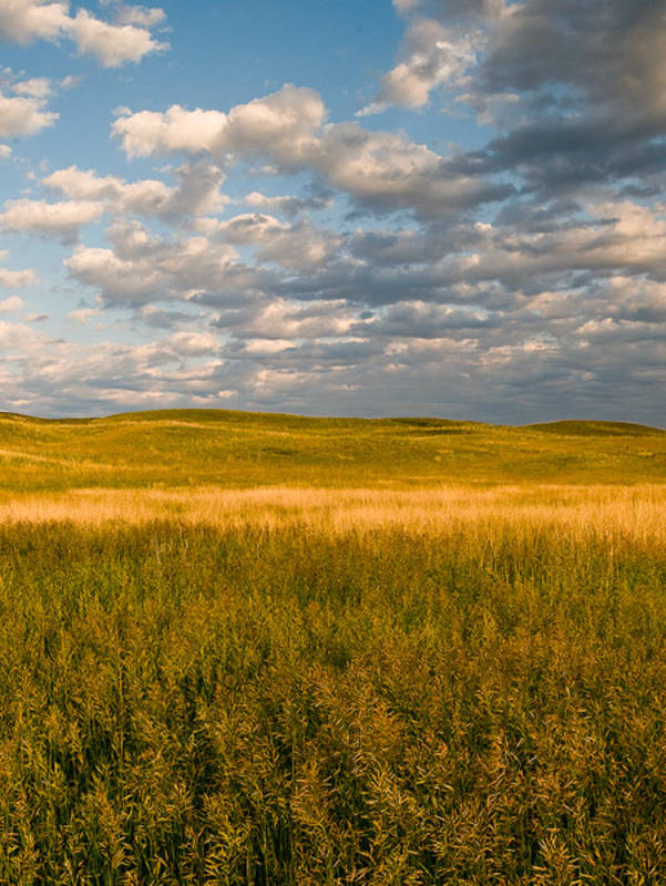 Prairie Light | Valentine NWR, Nebraska | Fine Landscape and Nature ...