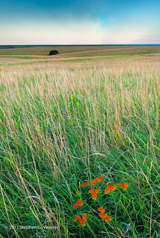 Kansas Prairies and Grasslands | Fine Landscape and Nature Photography ...