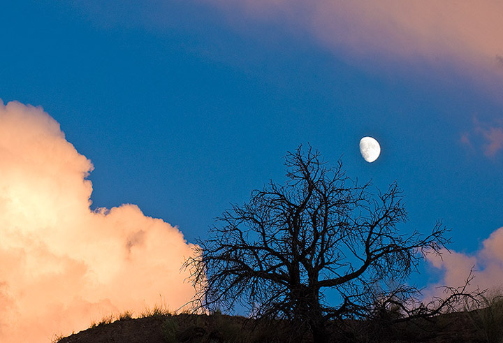 Moon, Tree and Clouds | Ghost Ranch, NM | Fine Landscape and Nature ...